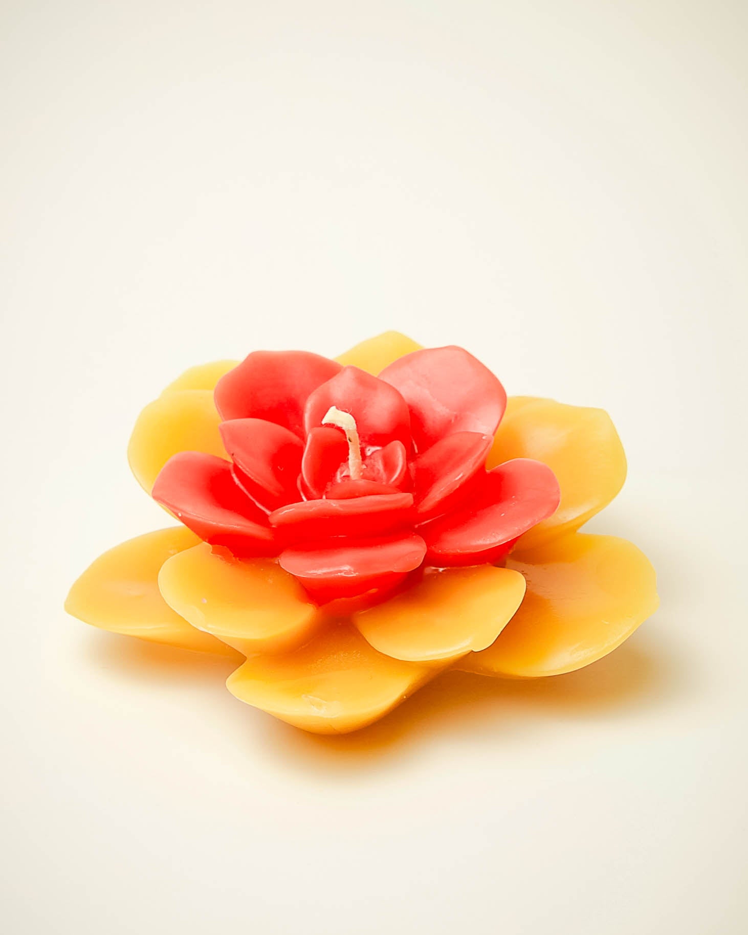 Lotus – Amber Lights Candles